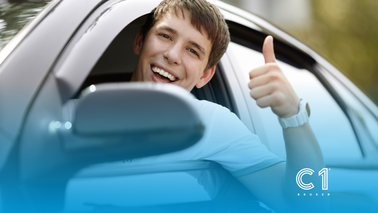 New EU Driving Licence Rules Explained for Expats Living in Portugal ...